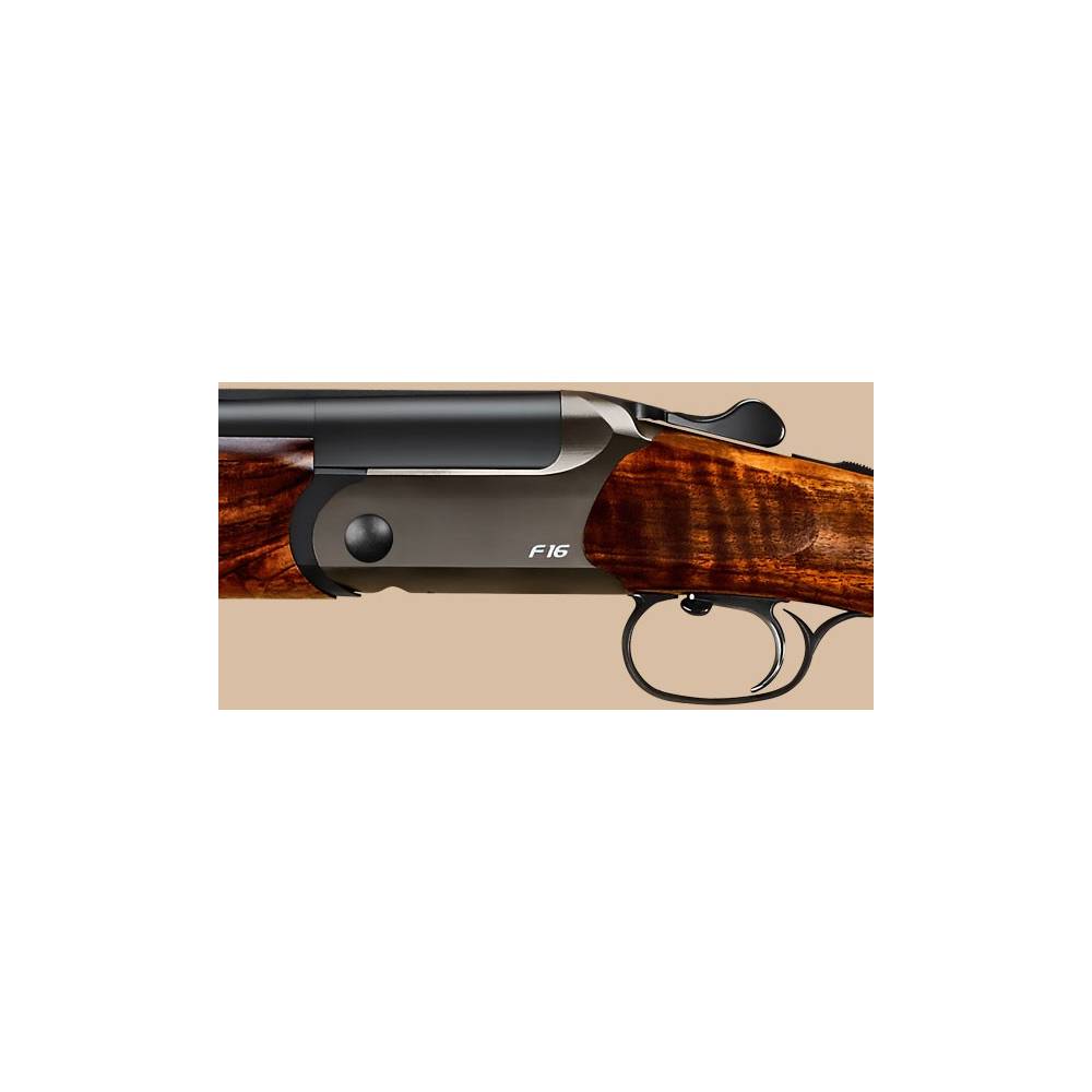 Blaser F16